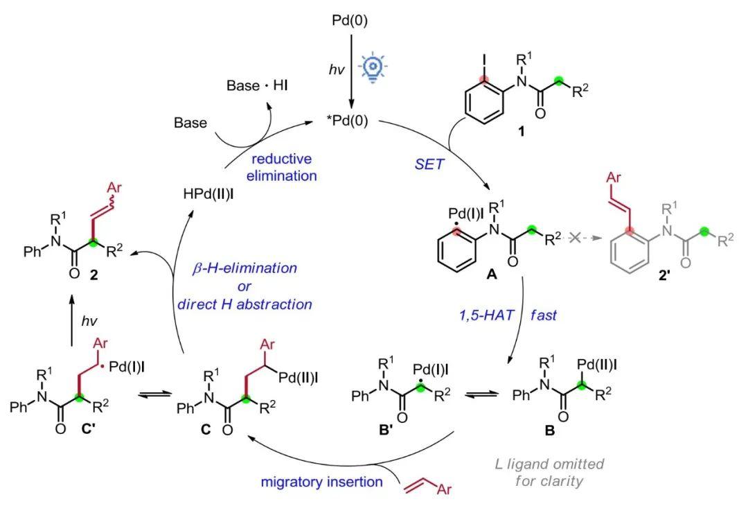 光诱导下 Pd 催化远程烷基 Heck 反应最新进展 - 知乎