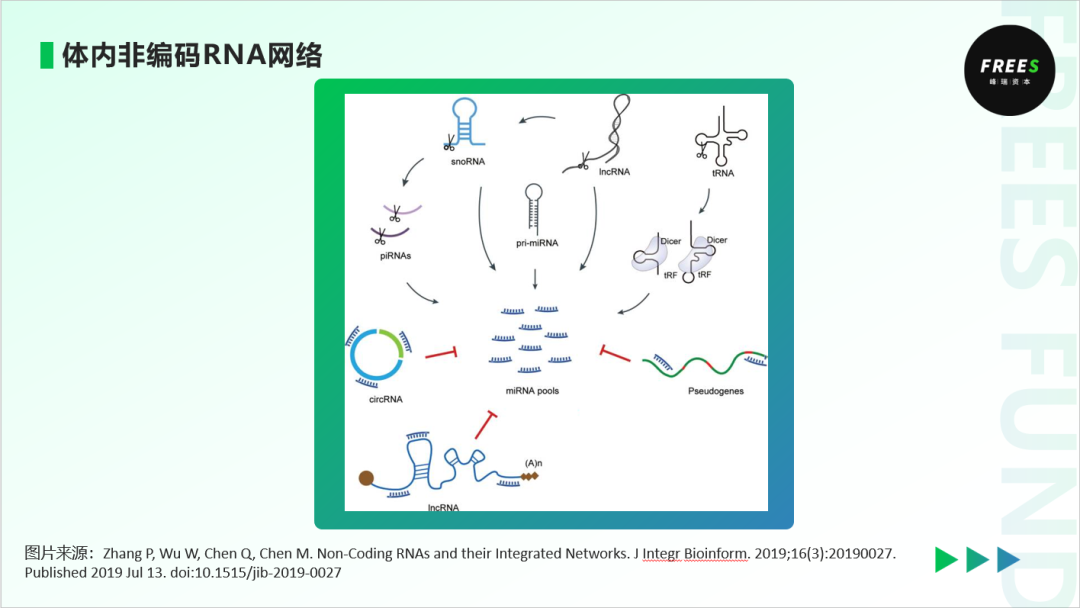 三花猫、蜜蜂，荷兰大饥荒……揭秘基因表达的“出牌套路” | 峰瑞报告32 - 知乎