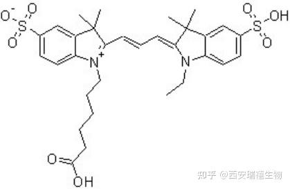 CY3 carboxylic acid 脂溶性Cy3 羧酸Sulfo-Cyanine3 COOH盘一盘实验室染料 - 知乎