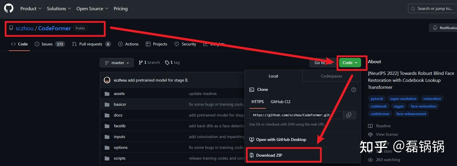 Code Former安装及使用 - 知乎