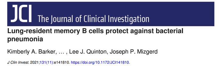 文献阅读——Lung-resident memory B cells protect against bacterial pneumonia - 知乎