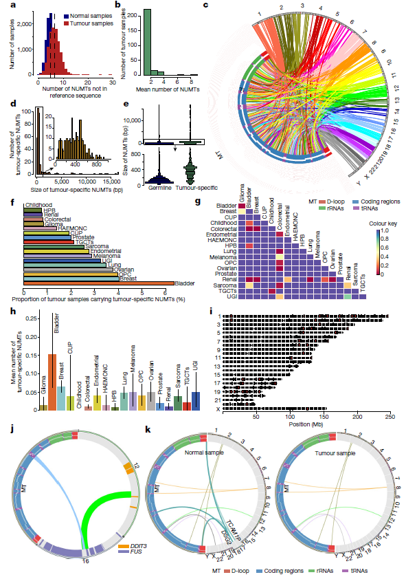 Nature | 超6万人全基因组序列分析结果揭示：线粒体DNA插入人类基因组从未停止 - 知乎