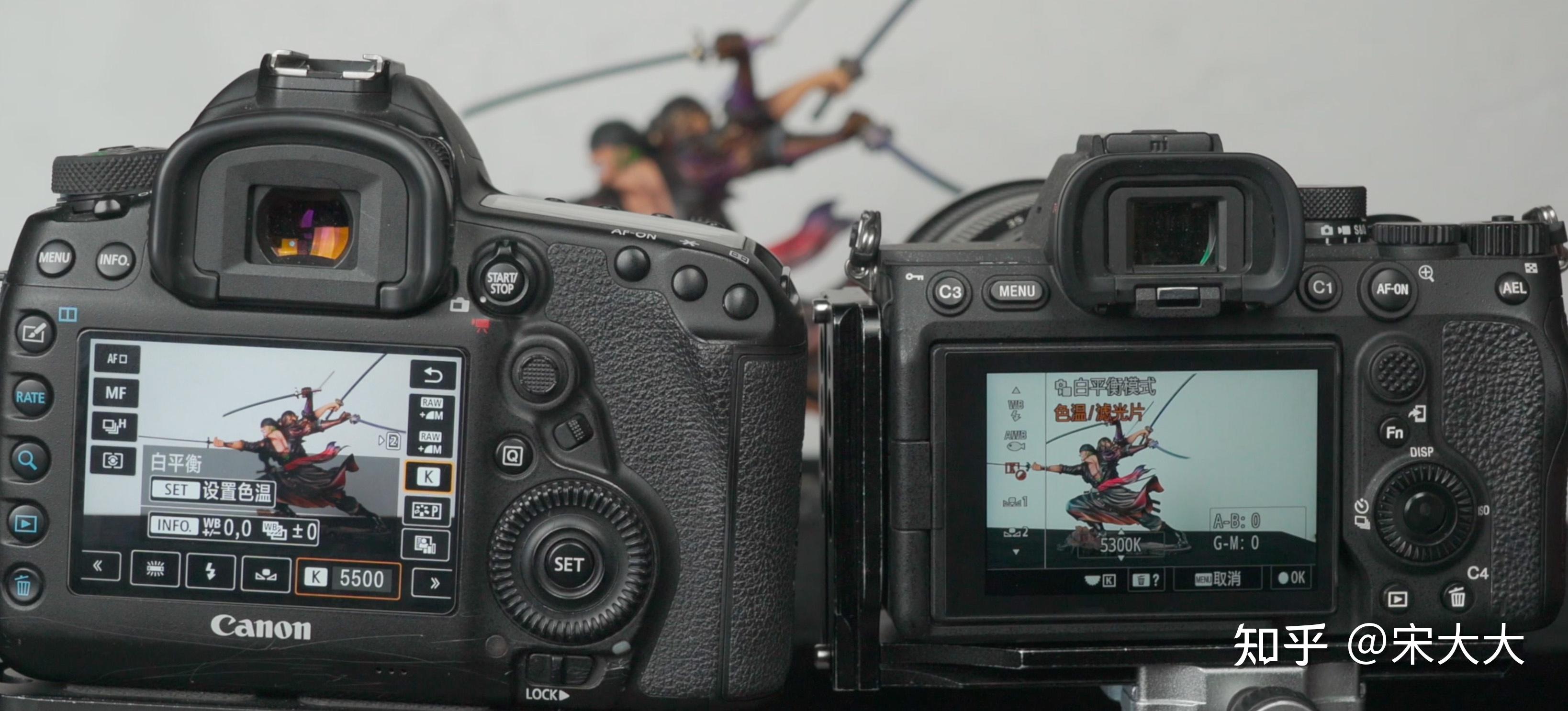 摄影新手搞懂白平衡，轻松矫正照片偏色！ - 知乎