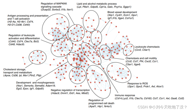 GO term功能网络，富集网络，功能网络绘制，R语言，Cytoscape - 知乎