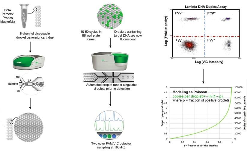 技术剖析：Digital PCR原理，分类及其应用前景 - 知乎