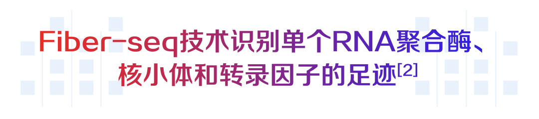 贝瑞基因全面解析丨Fiber-seq引领多组学研究新浪潮 - 知乎