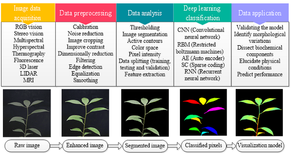 跨越表现型和基因型之间的桥梁:先进成像技术在森林表型上的应用综述 - 知乎