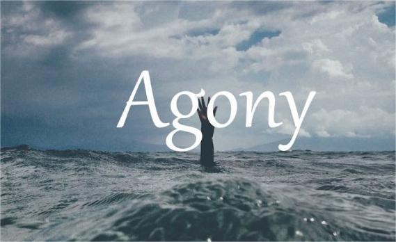 英语学习：小词详解 | agony - 知乎