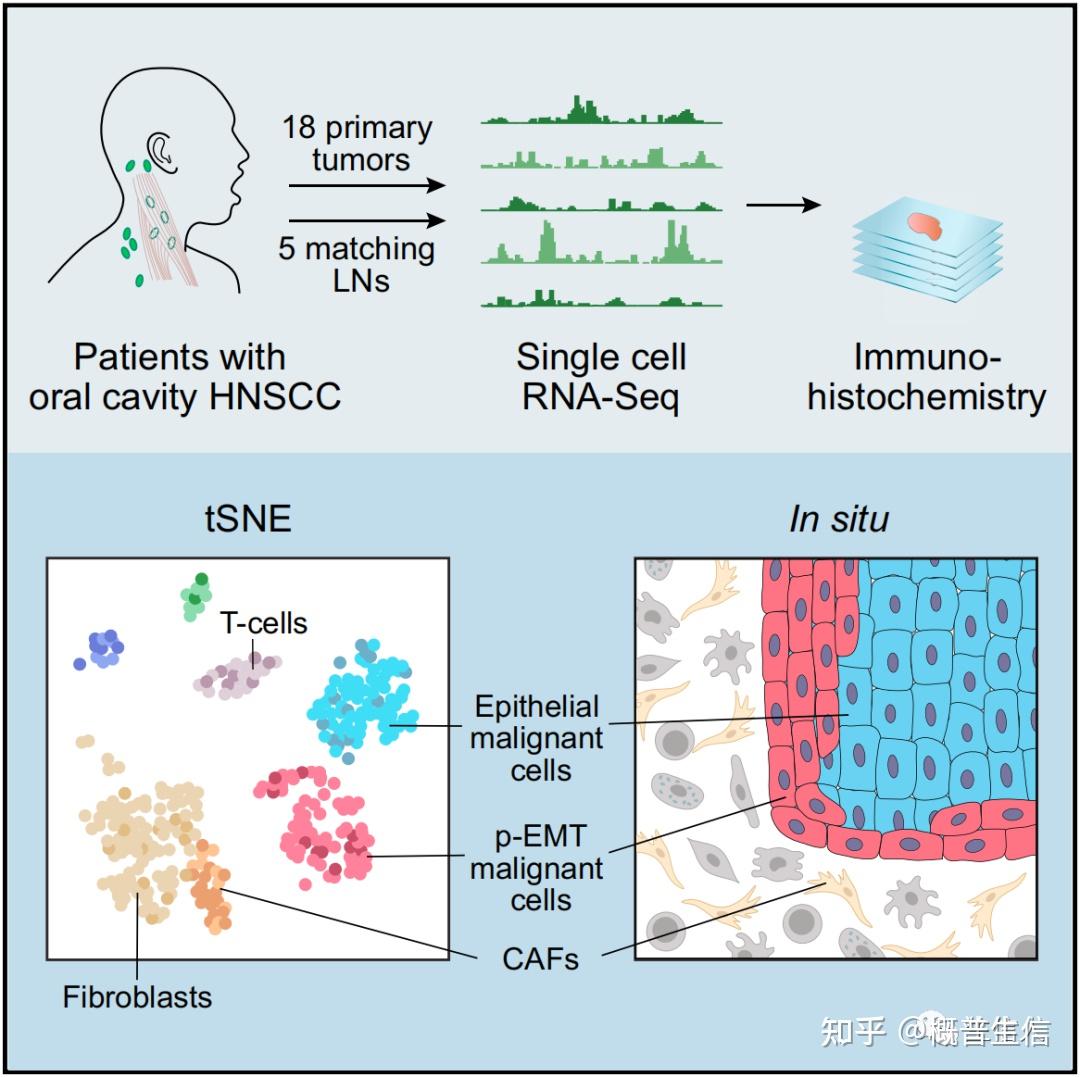 且看CNS如何用公共数据解析肿瘤内异质性 - 知乎