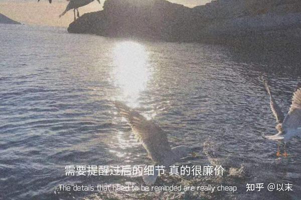 钱钟书先生的情话 知乎