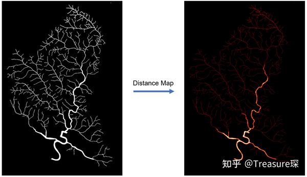 ImageJ实用教程——骨架化分析(定量分析篇) - 知乎