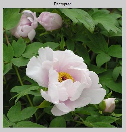 MATLAB Arnold 的图像置乱加密及解密 - 知乎