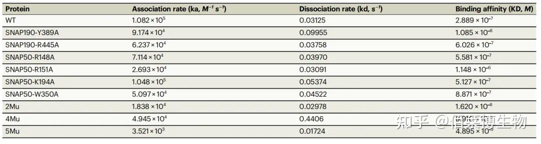 快速验证蛋白与核酸互作新方法：SPR表面等离子共振技术 - 知乎