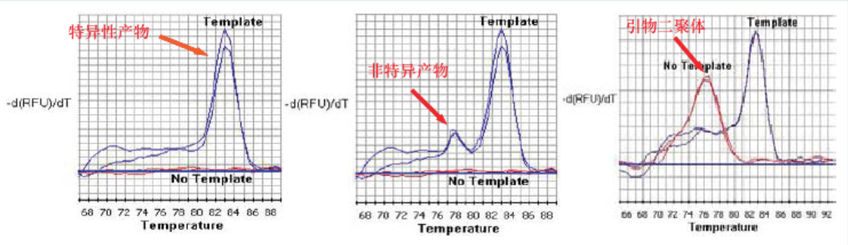 Real Time PCR新手级入门篇 -下 - 知乎