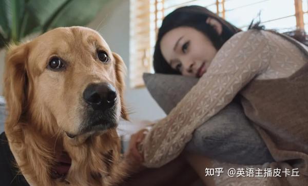 Under是“在下面”，dog是“狗”，那么Underdog 是什么意思？ - 知乎