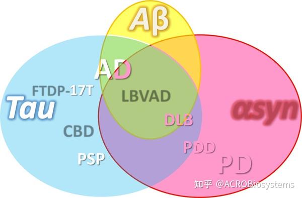 ACRO解读神经退行性疾病治疗曙光，α-Syn与Tau的联合之路 - 知乎