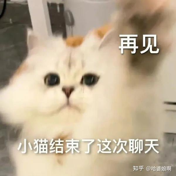 值得收藏的表情包：婉拒专用！！ 知乎 0362