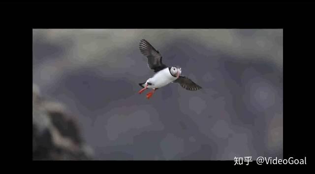 横评 | 5D3 vs. 5D4 视频能力对比 - 知乎