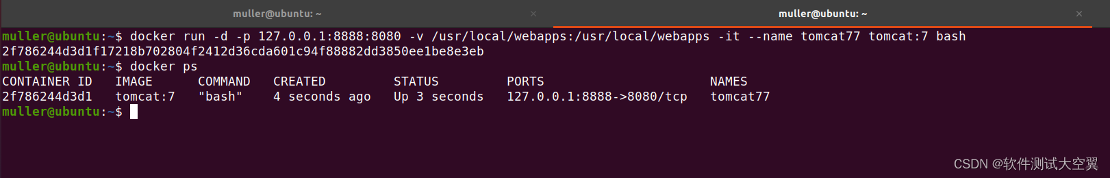 软件测试|深入解析Docker Run命令：创建和启动容器的完全指南 - 知乎
