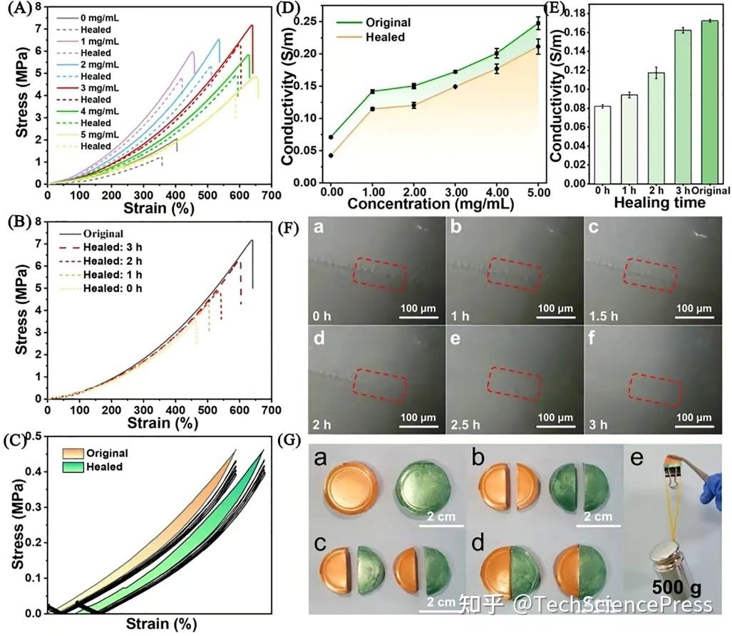 JPM期刊 Vol. 42. No.3, 2025 精选文章合辑 - 知乎