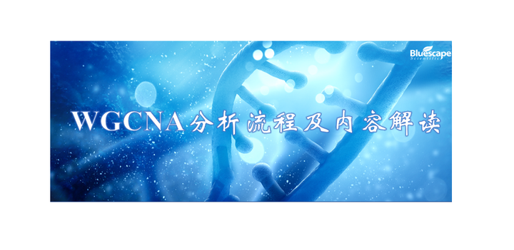 WGCNA分析流程及内容解读 - 知乎