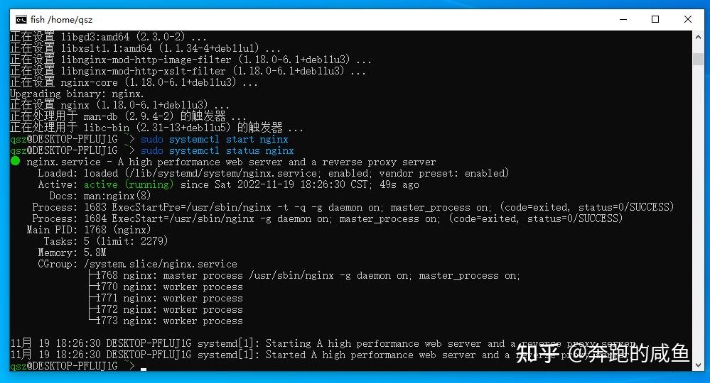 WSLg正式支持Windows10 - 知乎