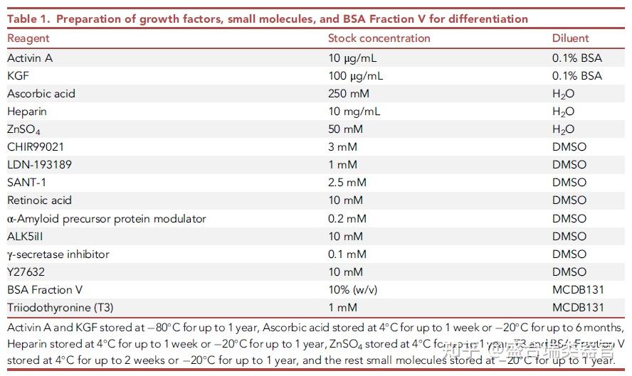 STAR Protoc.：hPSC胰腺类器官培养方法——早期胰腺研究新工具 - 知乎
