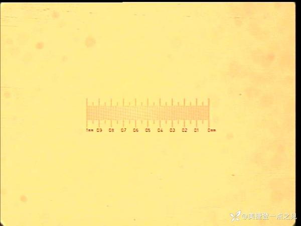 建议收藏：显微镜不同放大倍数物镜下标尺 - 知乎
