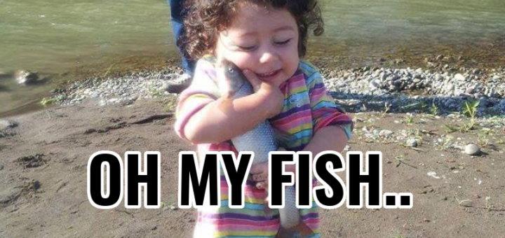 Oh My Fish! 让你的 Shell 漂亮起来 - 知乎