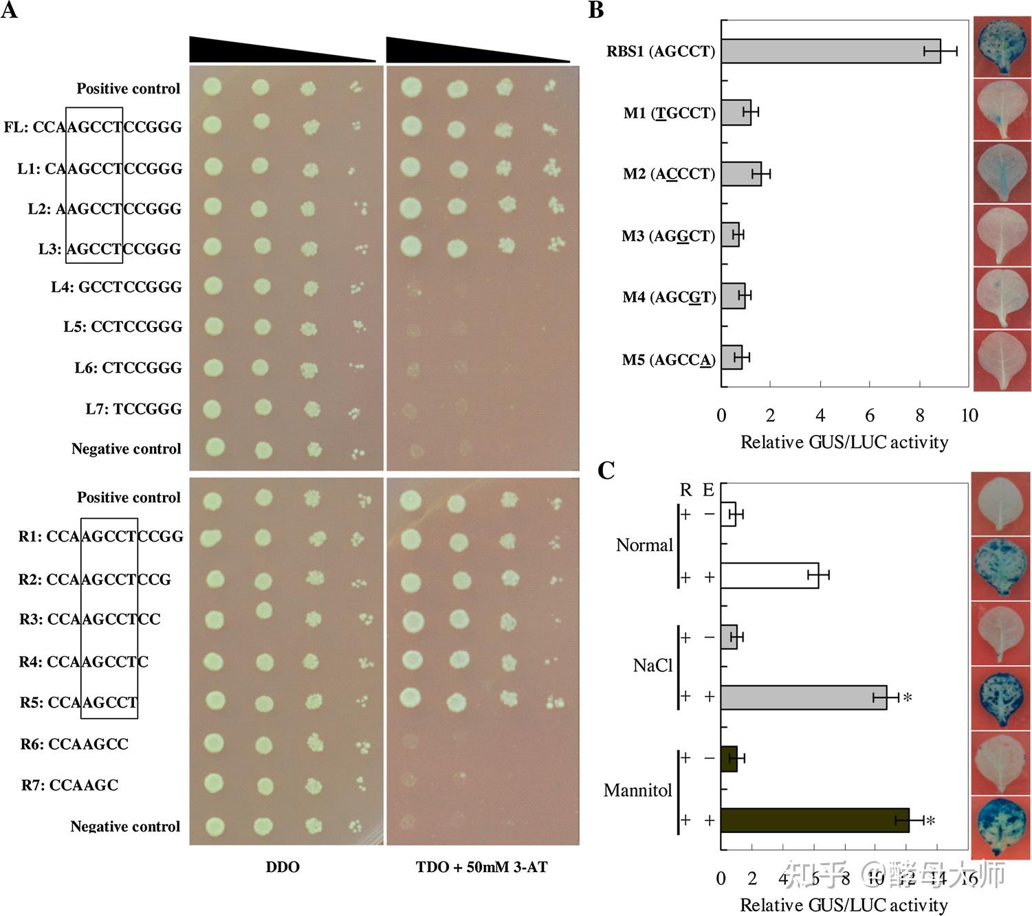 案例应用|TF-centered Y1H高效识别结合基序，多领域应用 - 知乎