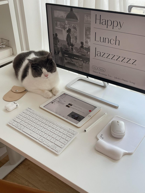 窗边书桌|晒晒我的白色极简ins风桌面设备 - 知乎