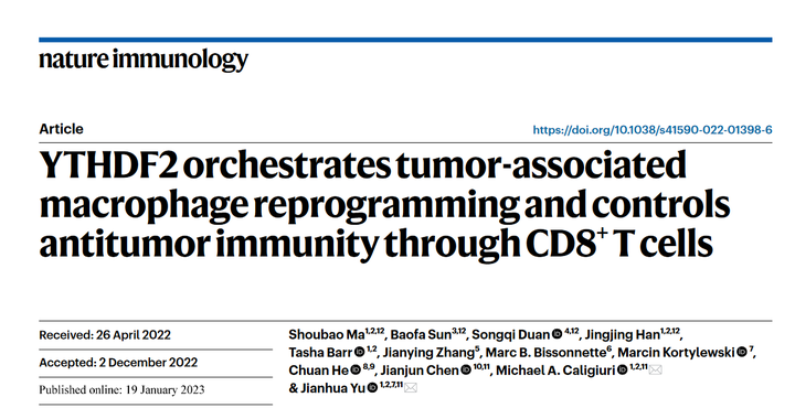 m6A+单细胞热点专题二：YTHDF2通过CD8+T细胞调控TAM重编程并控制抗肿瘤免疫 - 知乎