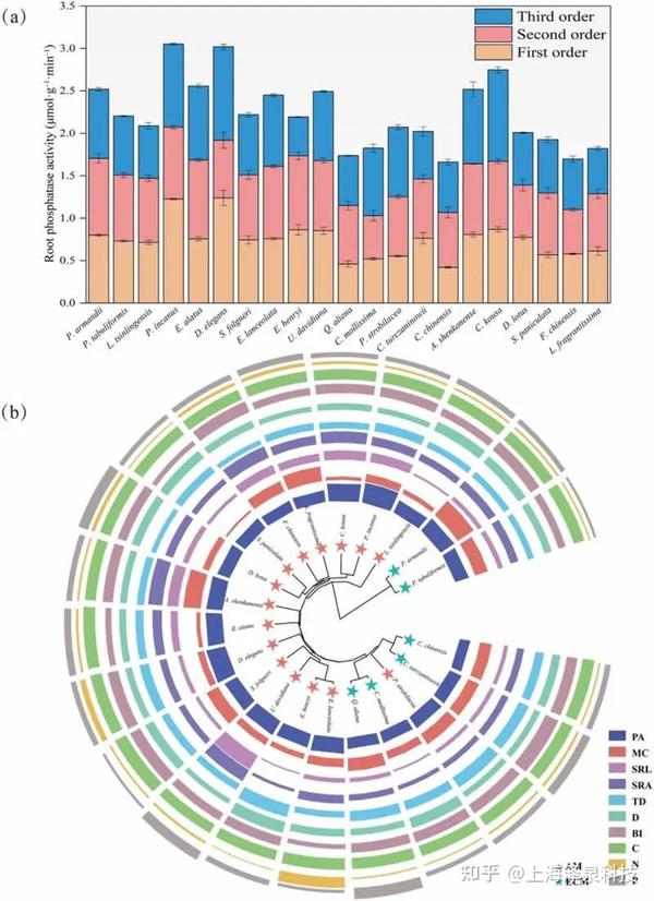 根系磷酸酶是一种竞争型根系功能属性 - 知乎