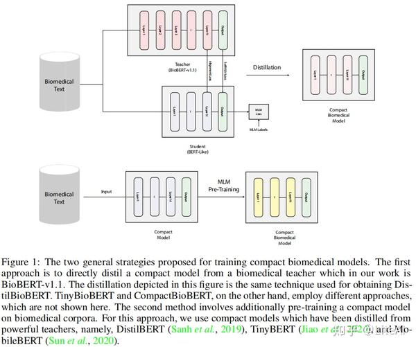 Efficient AI & 边缘AI & 模型轻量化技术文章推荐（10.28） - 知乎