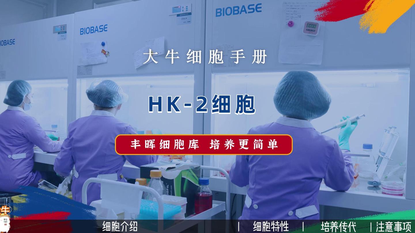 HK-2细胞培养，人肾皮质/近曲小管细胞培养攻略 - 知乎