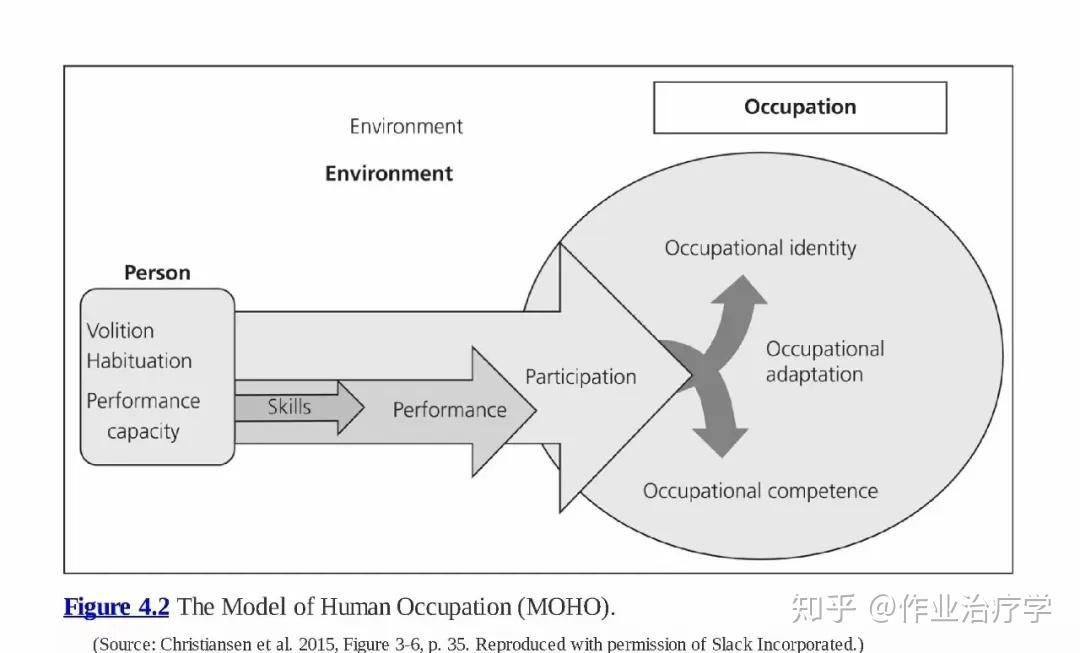 作业治疗理论模式| MOHO - 知乎