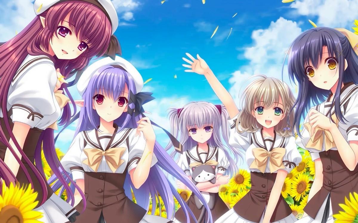 《Happy Live Show Up!》：魔法世界里的青春成长物语 - 知乎