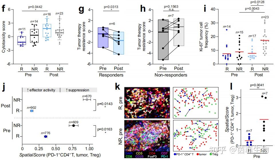 Nat Commun | CODEX——SpatialScore预测皮肤T细胞淋巴瘤对PD-1阻断响应的空间生物标志物 - 知乎