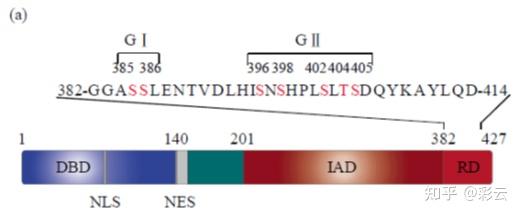 cGAS-STING 信号通路发现史（上） - 知乎