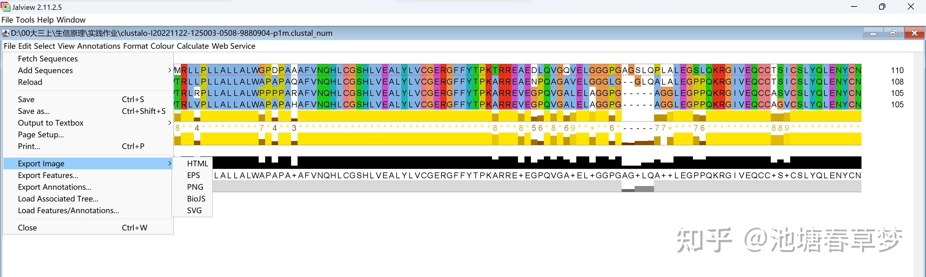 初探多序列比对——生信原理第三次实验报告 - 知乎