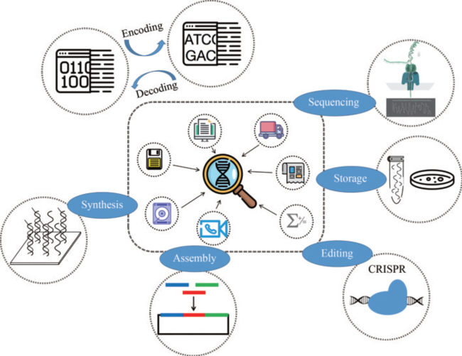 DNA存储：数据存储的终极解决之道 - 知乎