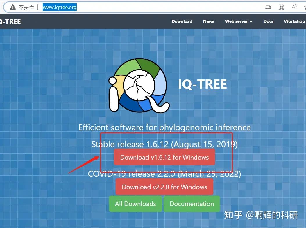 基因家族的系统进化树-基于Windows系统上的iqtree - 知乎
