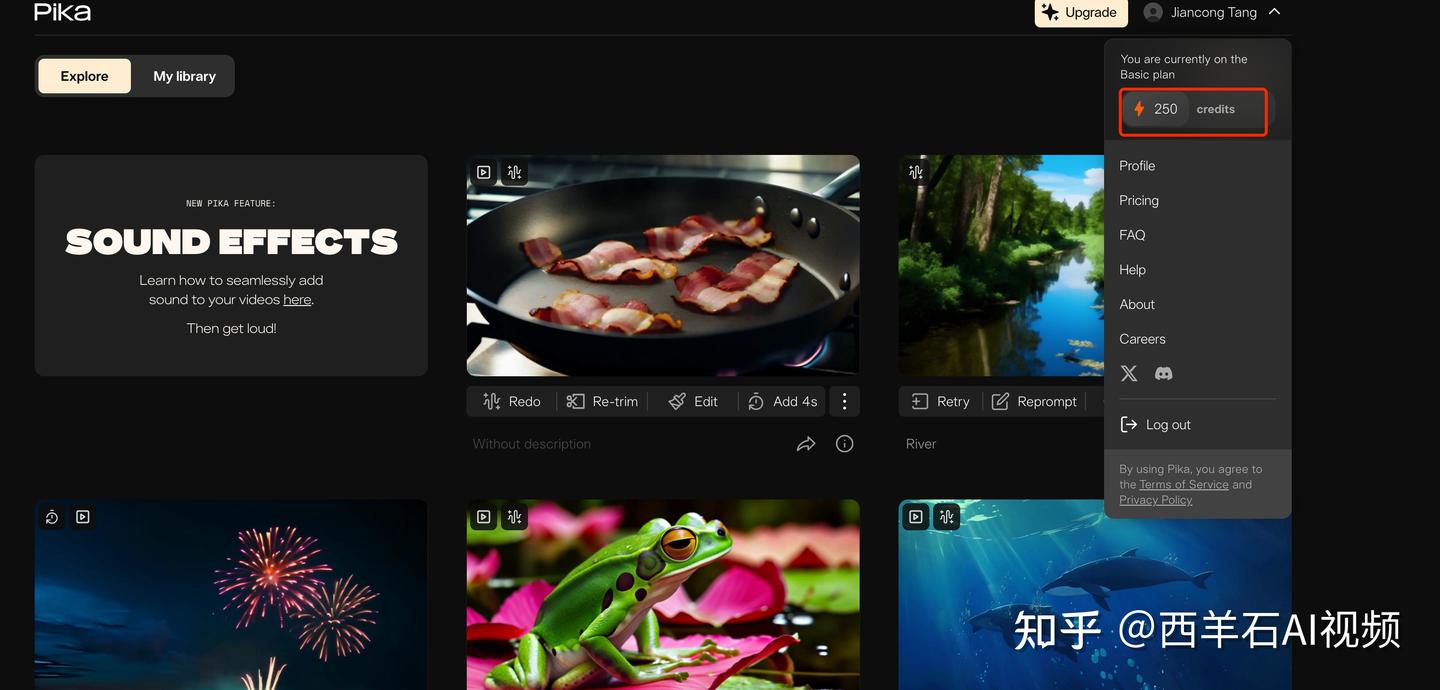 Pika完整版教程 - 知乎