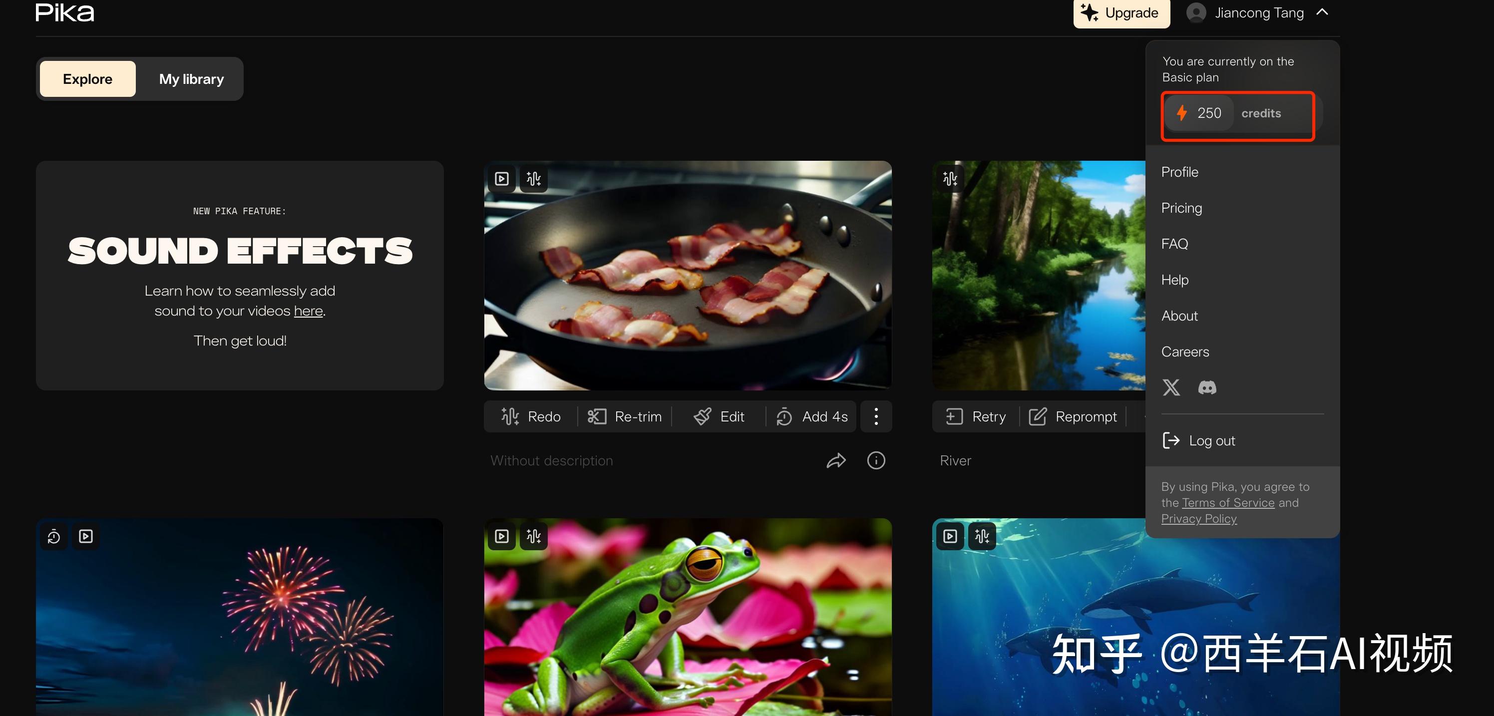 Pika完整版教程 - 知乎