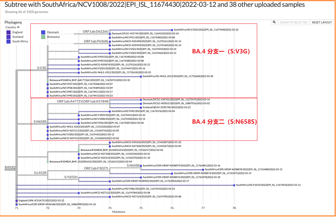 新的变异体毒株 BA.4 和 BA.5 都有什么特点？会对目前的疫情形势造成什么影响？ - 知乎