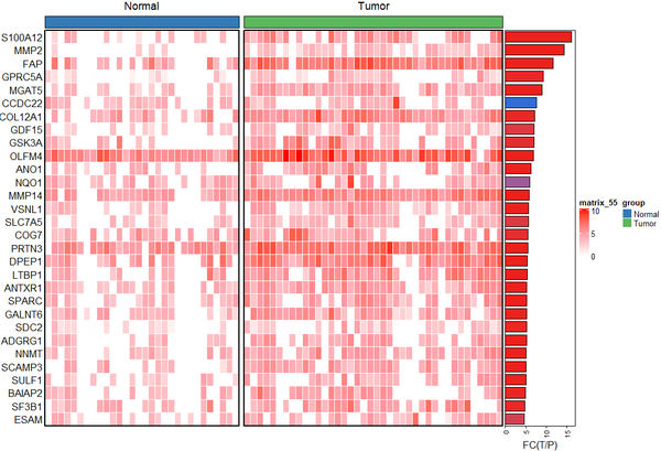 跟着 Cell 学作图 | 复杂热图(ComplexHeatmap) - 知乎