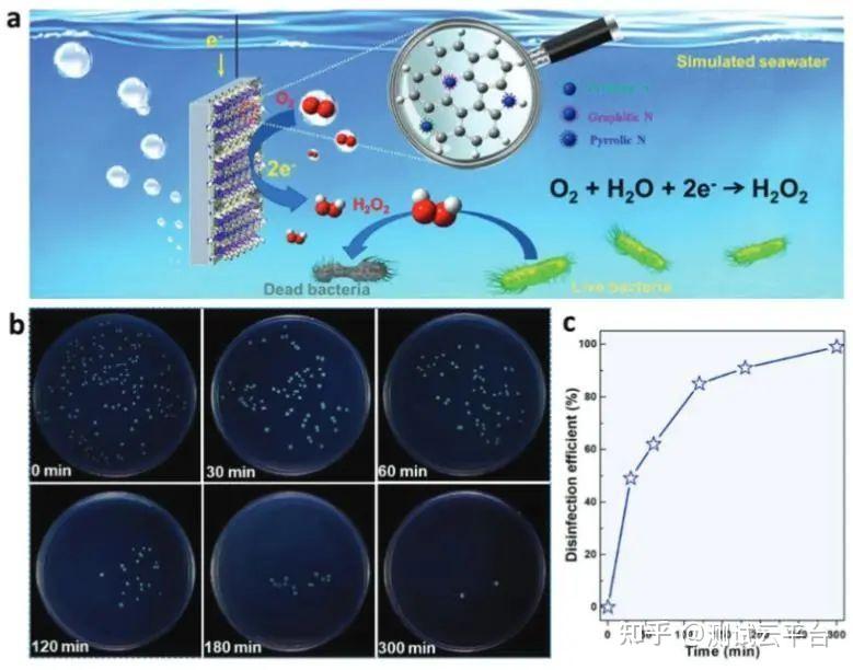 海洋所Adv. Sci.：调节氮形态，实现模拟海水中高效合成H2O2 - 知乎