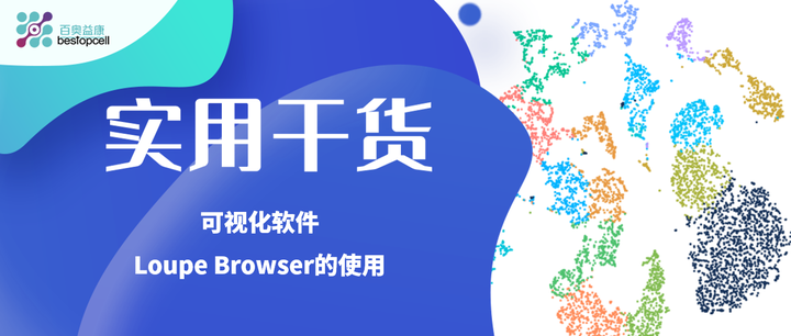 实用干货 | 可视化软件 Loupe Browser 的使用 - 知乎
