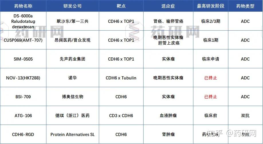 CDH6—卵巢癌、肾细胞癌靶向治疗的新兴靶点 - 知乎