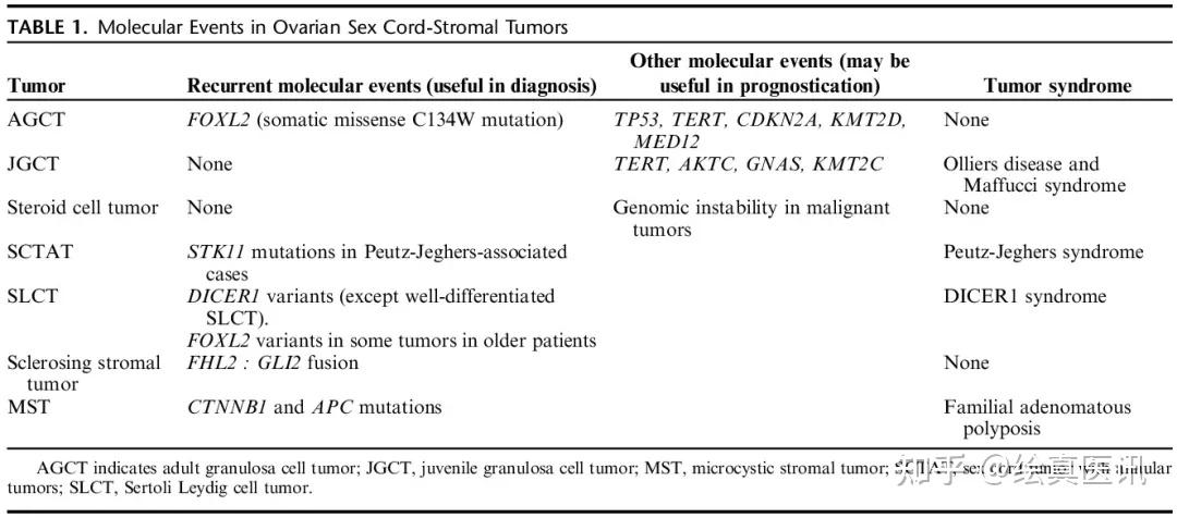 最全综述：卵巢性索-间质肿瘤的病理和分子特征 - 知乎